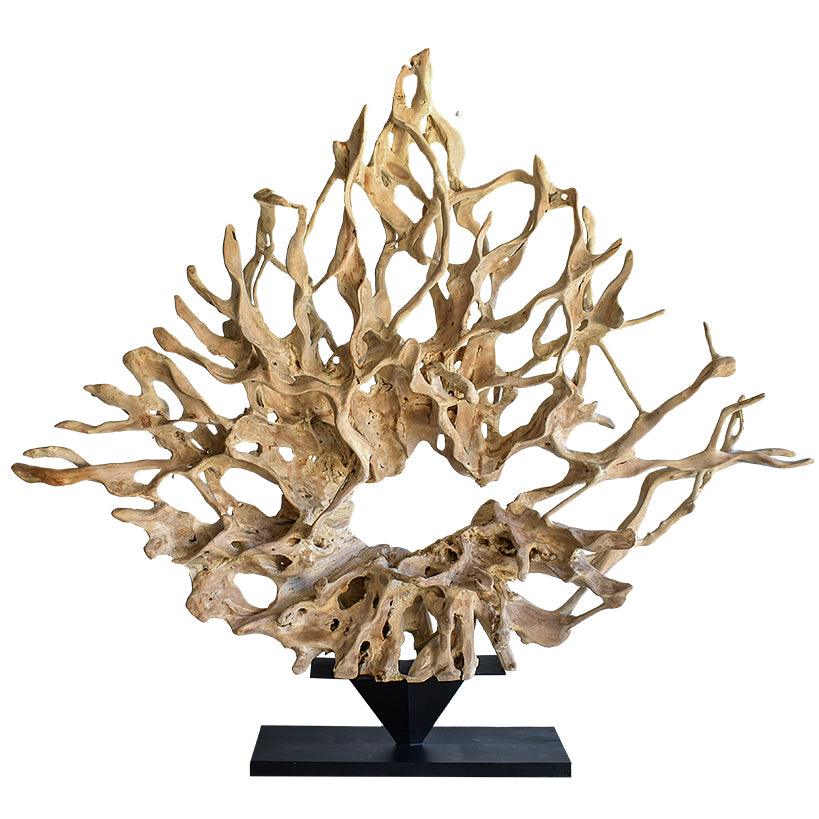Teak Wood Root Artistry – Elegant Natural Centerpiece – Chora Barefoot ...
